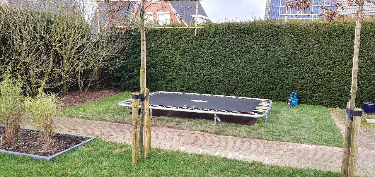 BERG Trampoline Inground Ultim Champion 330 x 220 cm grijs | Trampoline ...